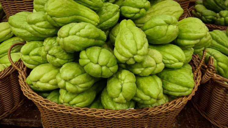 Conheça as safras mais famosas de cada mês do ano - Conhecimento Agora